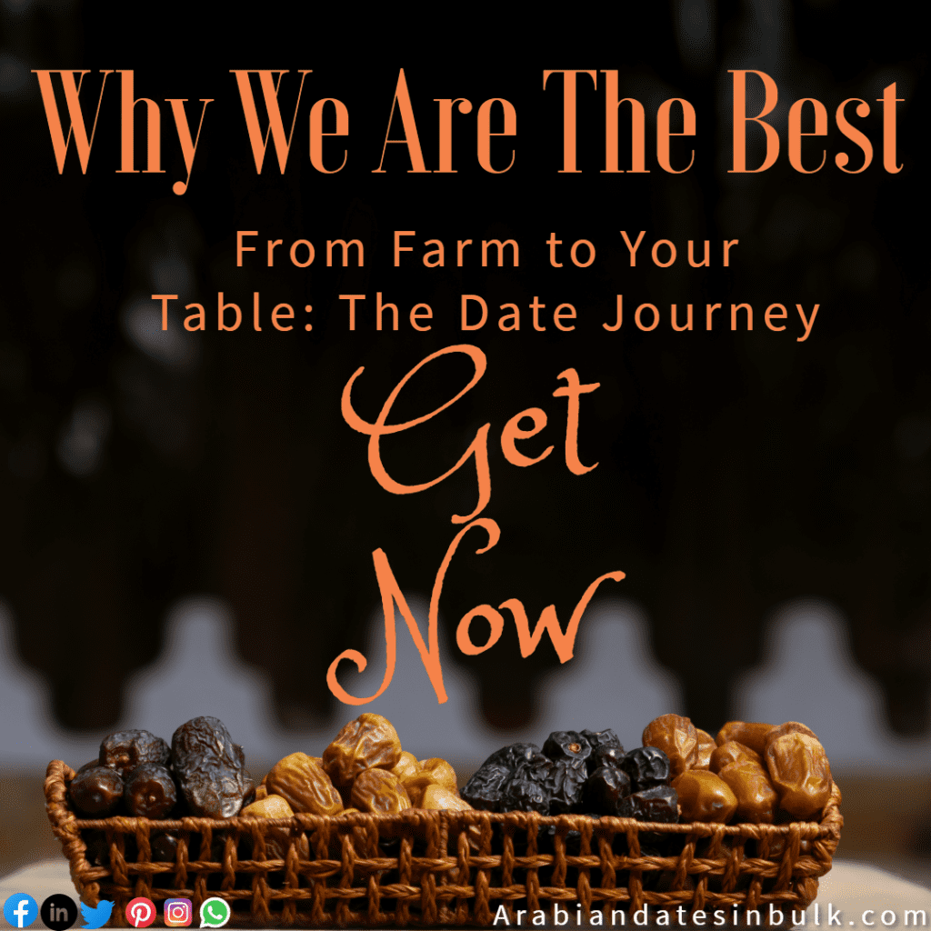 From Farm to Your Table: The Date Journey and Why dates from Arabian ...